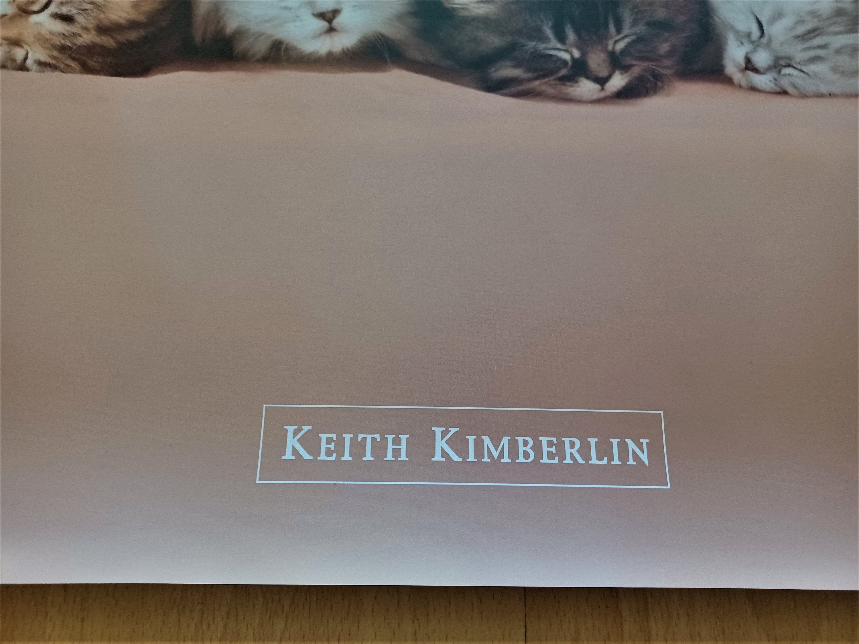 Keith Kimberlin Cats Authentic Licensed Huge 2006 Poster - Etsy