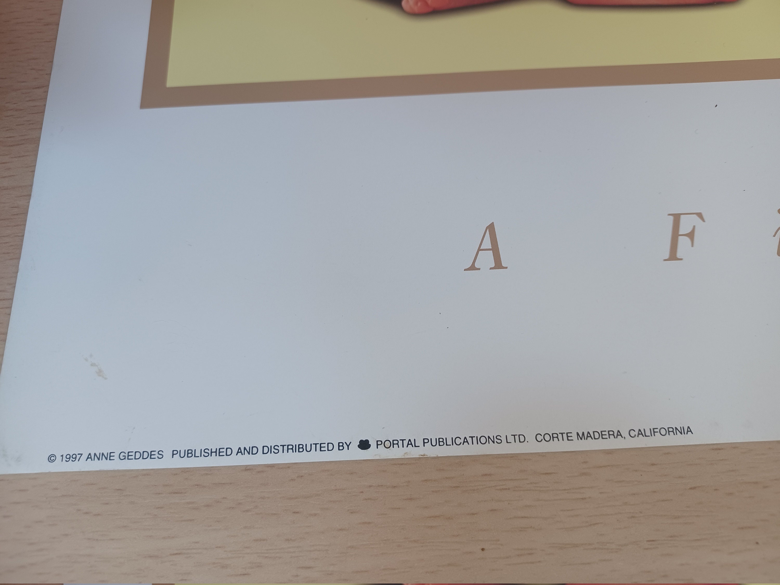 Anne Geddes Field of Sunflowers Authentic 1997 Poster - Etsy