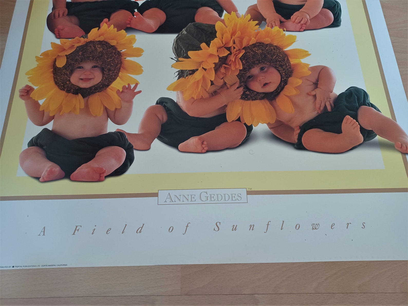 Anne Geddes Field of Sunflowers Authentic 1997 Poster - Etsy