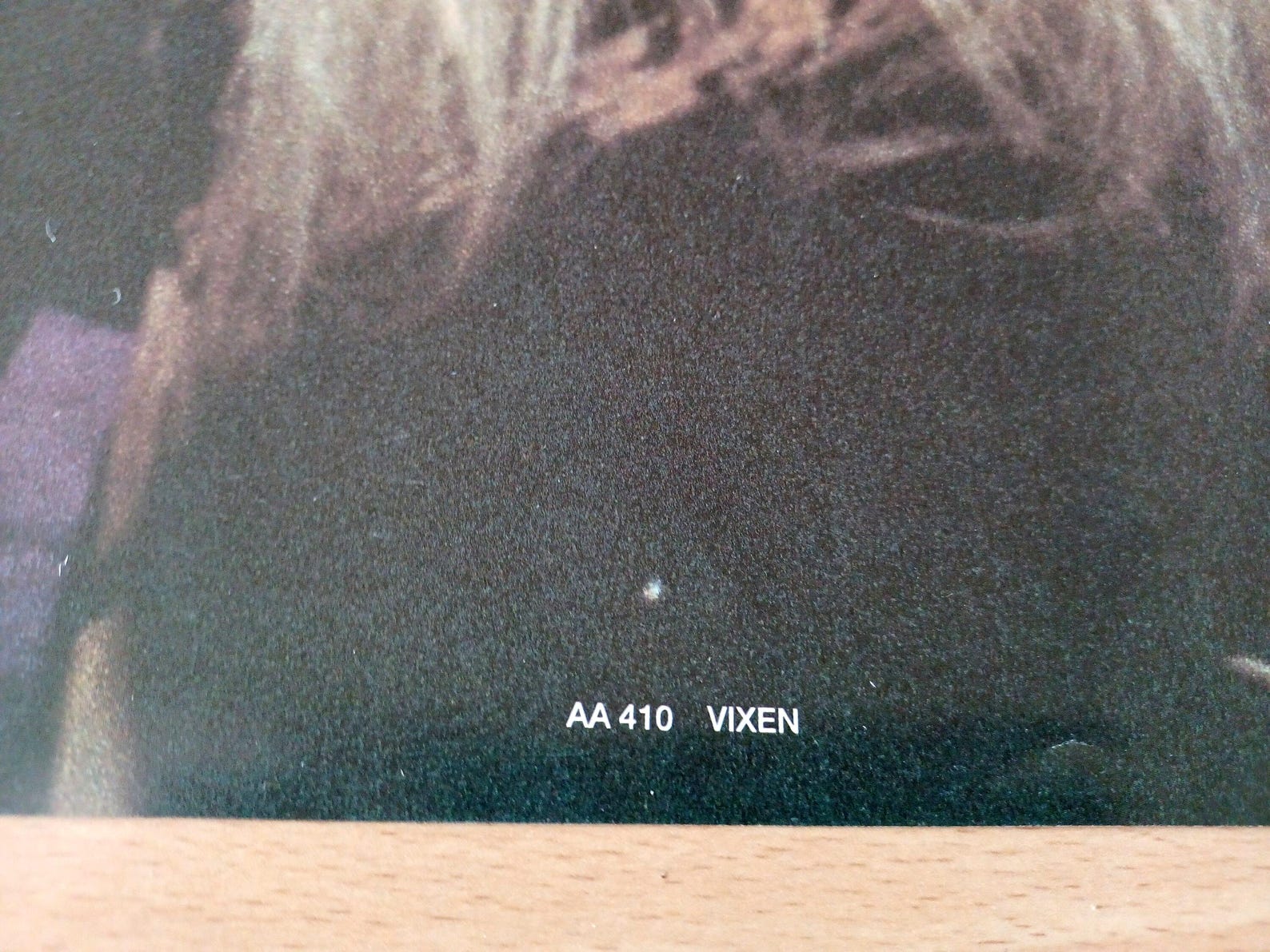 Vixen Authentic 1989 Poster - Etsy