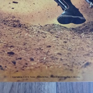 Motocross Moiseev Original Vintage Small Poster - Etsy