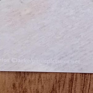 Gabrielle Richens Photo by Bob Carlos Clarke Original 1990's Poster - Etsy