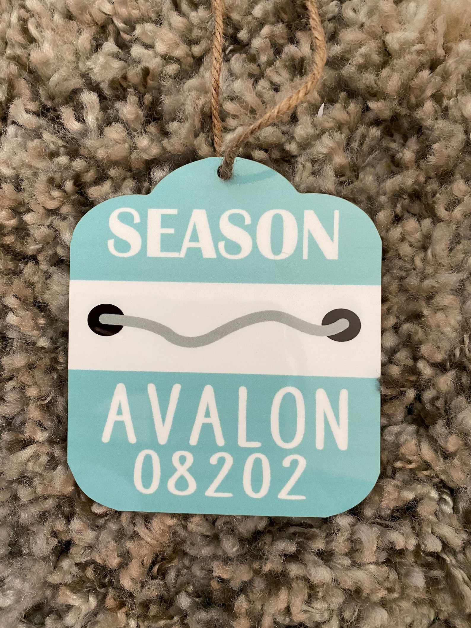 Beach Badge Ornament, Beach Badge Decor, Beach Badge Ornaments, Badge ...