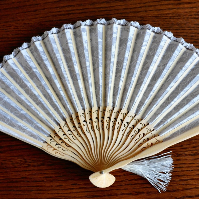 Lace Hand Fan - Etsy