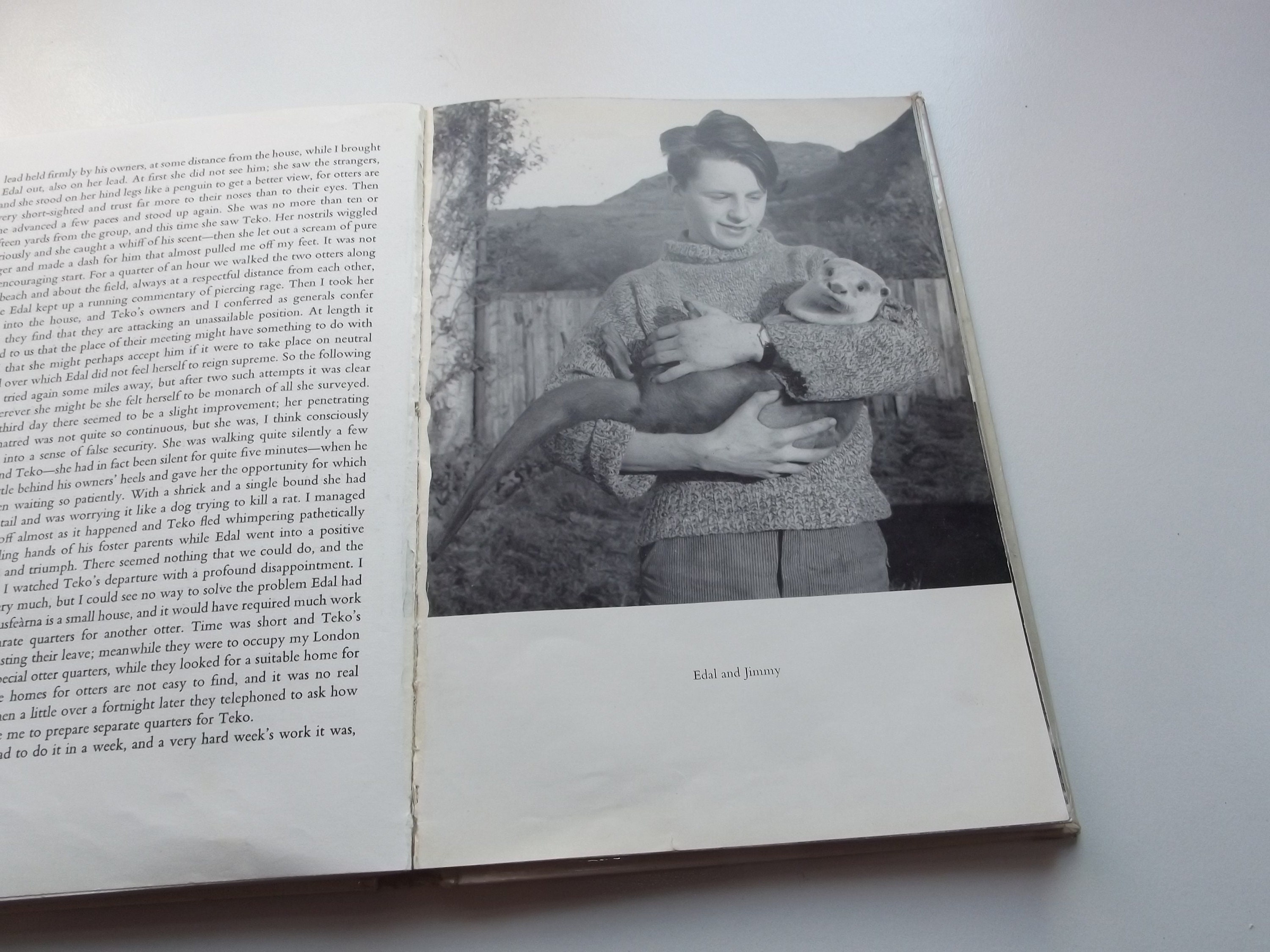 The Otter's Tale by Gavin Maxwell, 1962, 1st edition, Vintage Children ...