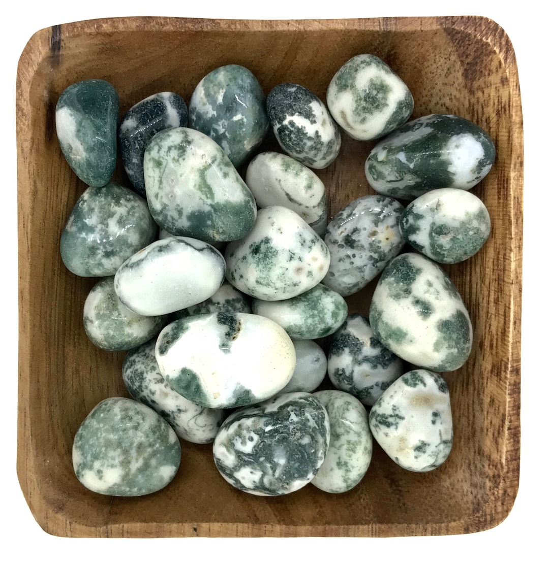 Tree Agate Tumbled - Tumbled Tree Agate - Heart Chakra - Taurus - Reiki ...