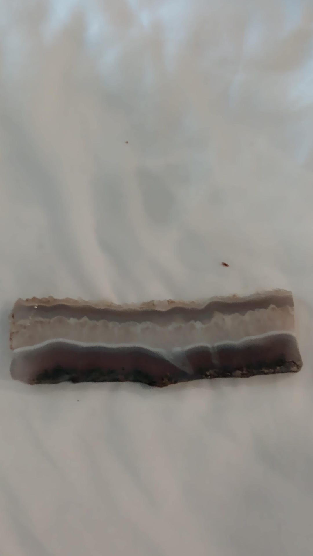 Banded Quartz Slab - Etsy