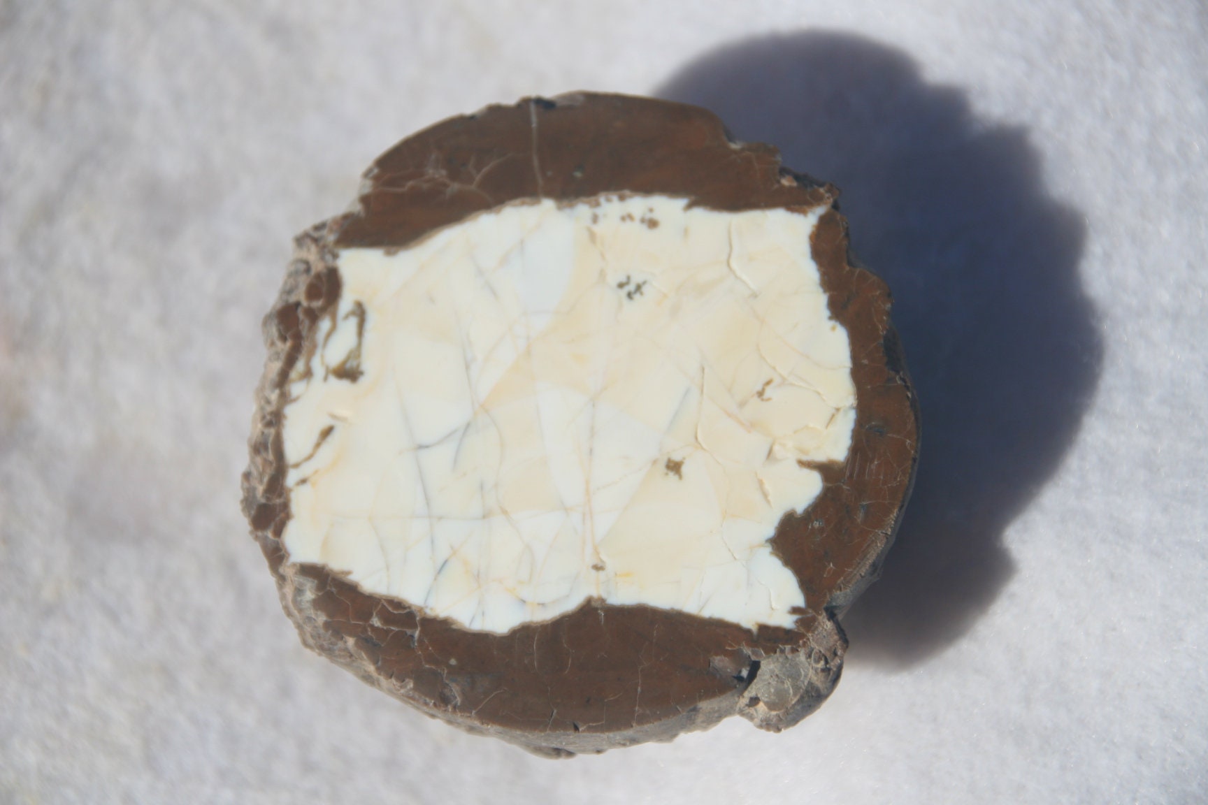 Opal Filled Thunder Egg - Etsy