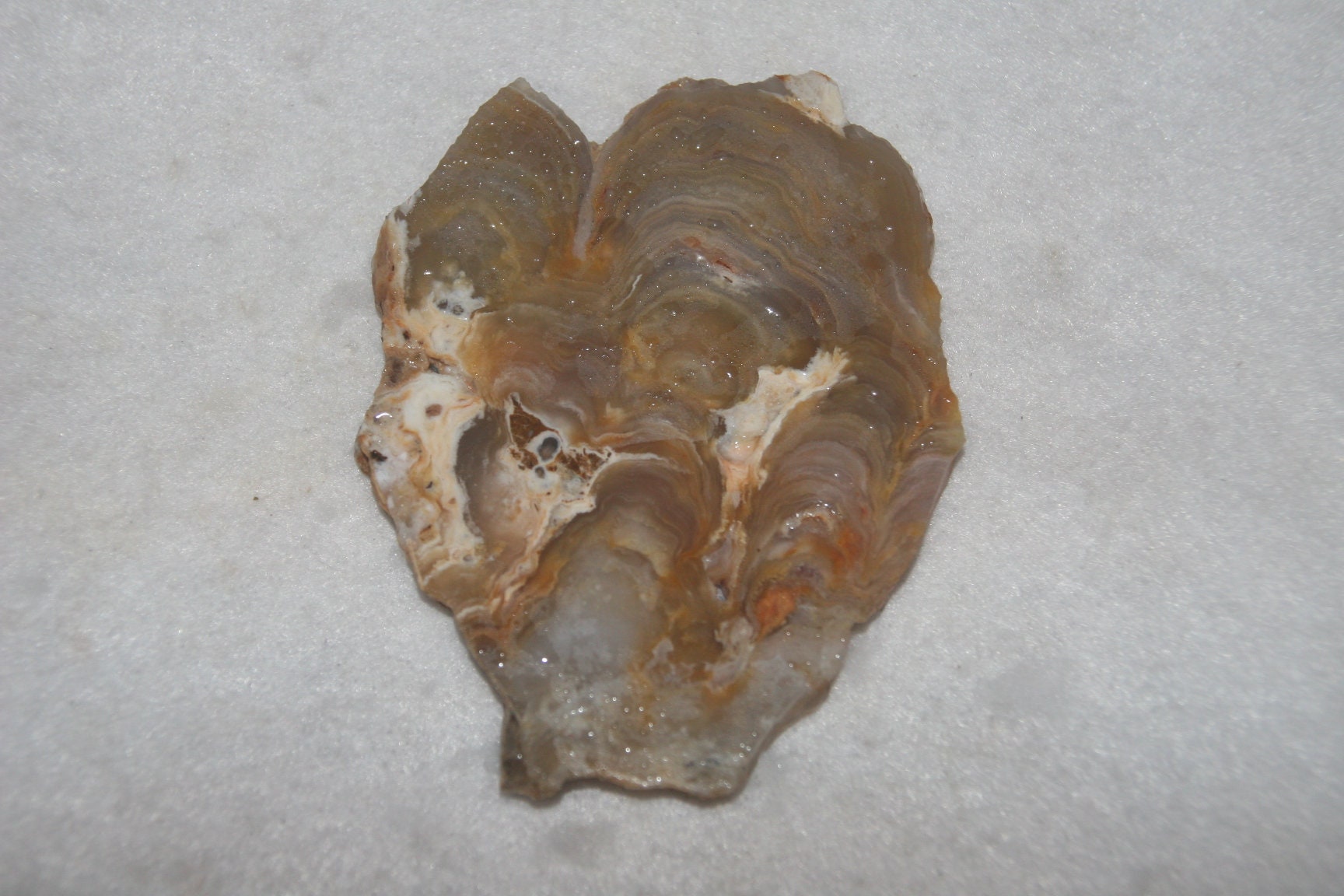 Laguna Agate Slabs | Etsy