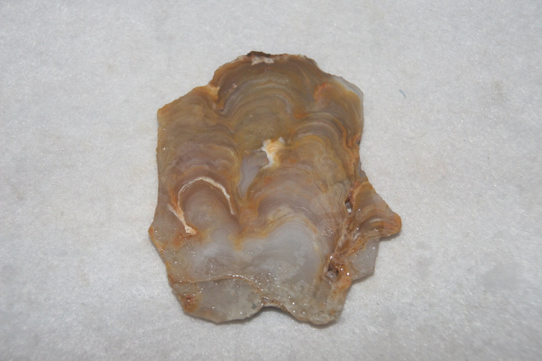 Laguna Agate Slabs | Etsy