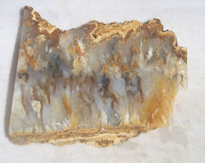 Grave Yard Point Plume Agate Slab - Etsy