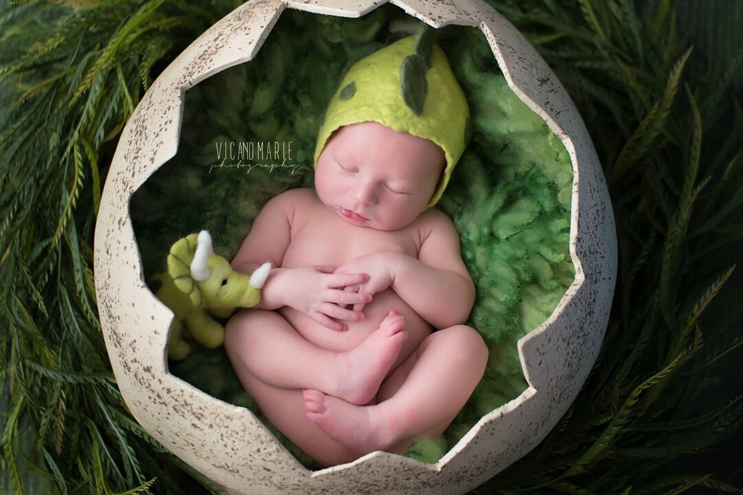 Hand Felted Dinosaur Bonnet and Stuffy Set Newborn - Etsy