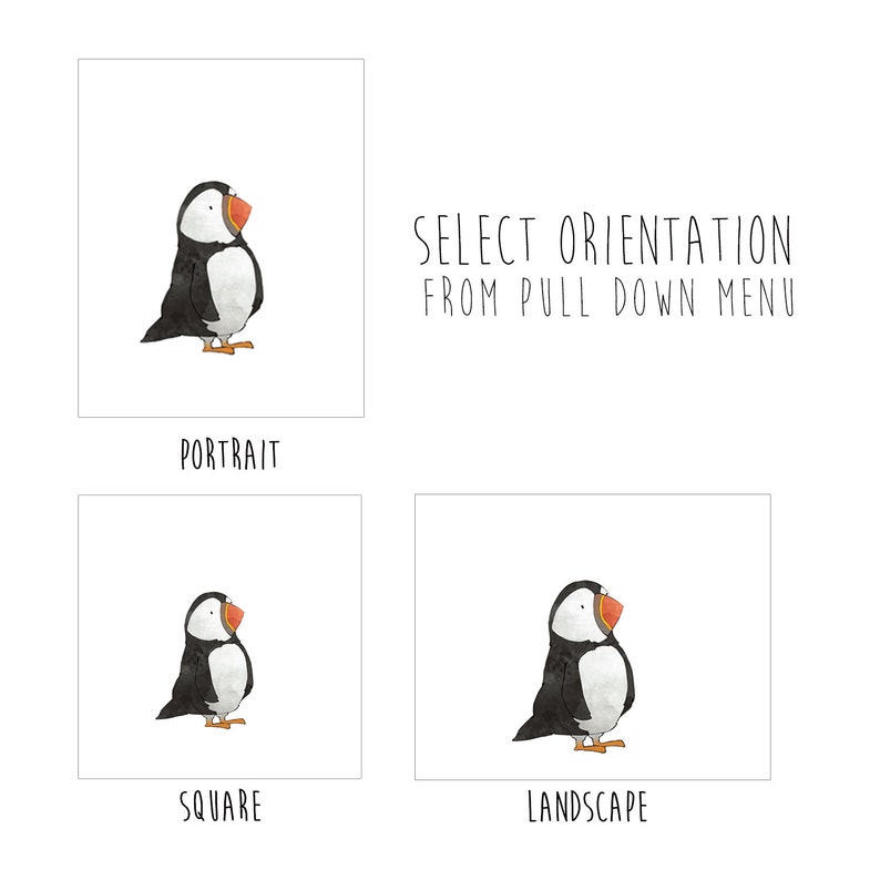Puffin Illustration Arctic Animal Art Print Kids Room | Etsy