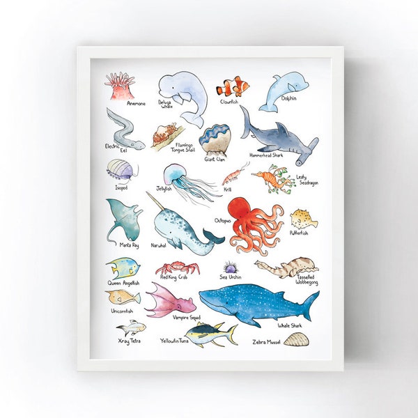 Animal Alphabet - Etsy