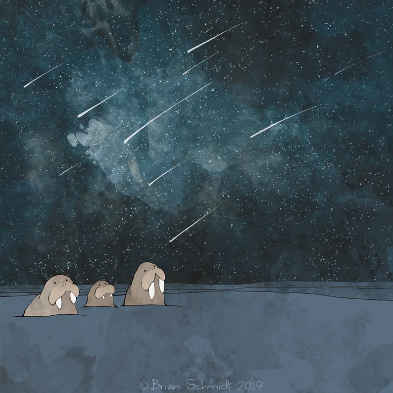 Walrus Family Art Print Night Sky Nursery Decor Arctic | Etsy