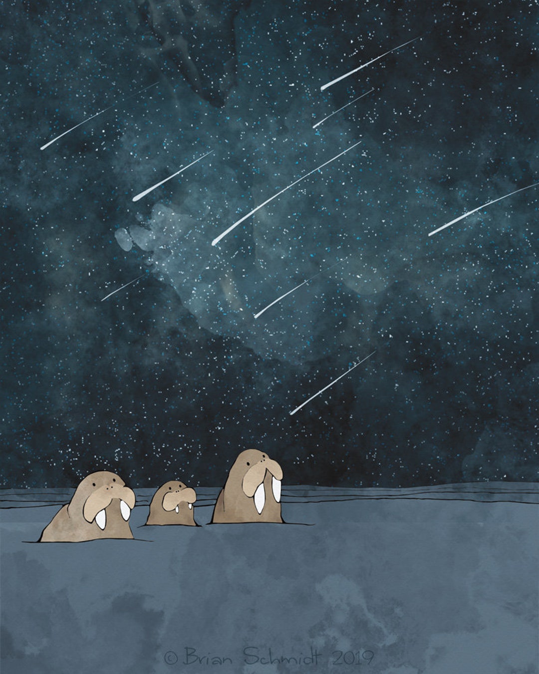 Walrus Family Art Print Night Sky Nursery Decor Arctic - Etsy