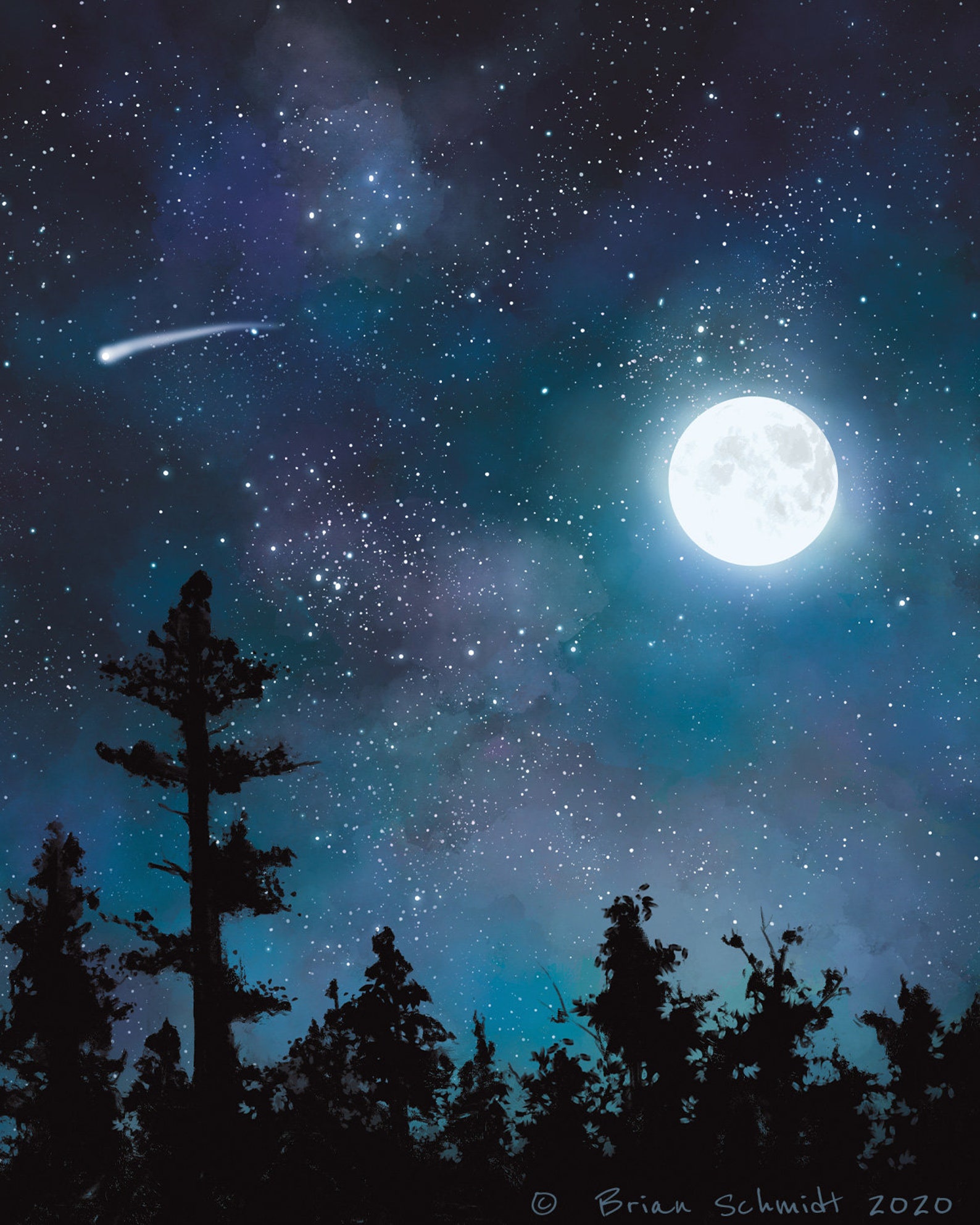 Moon Art Print Night Sky Illustration Moon and Trees - Etsy