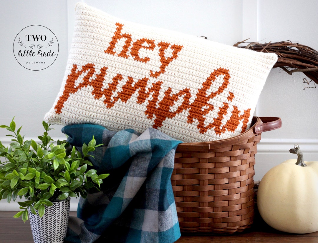 Crochet Fall Pillow Pattern, Crochet Pumpkin Pillow, Tapestry Crochet ...