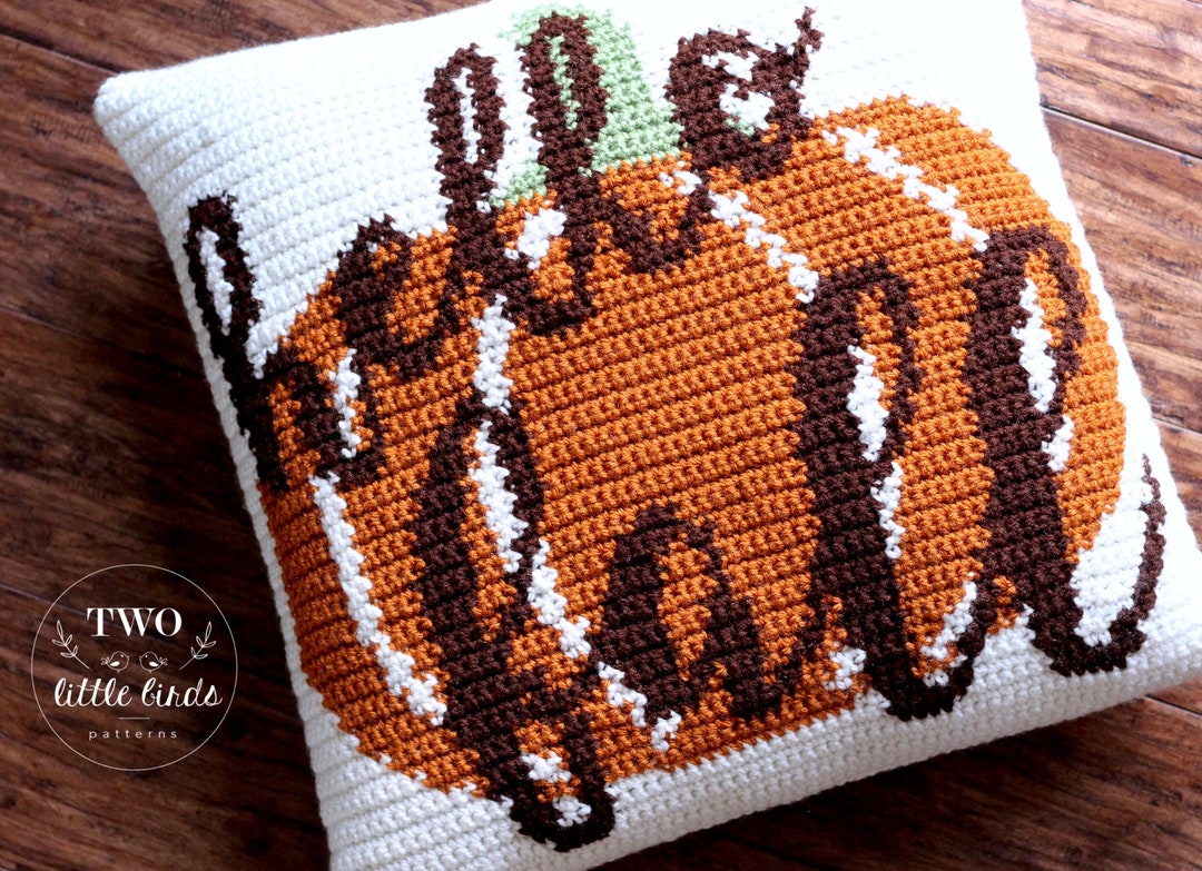 Fall Crochet Pillow Pattern, Crochet Pillow Cover, Crochet Pumpkin ...