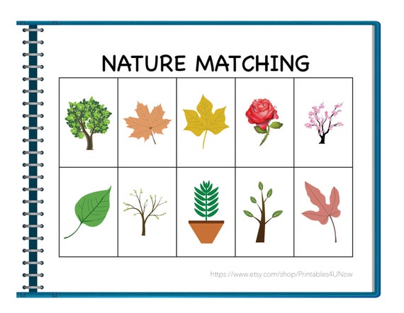 NATURE MATCHING Toddler INSTANT download Easy on Printer | Etsy