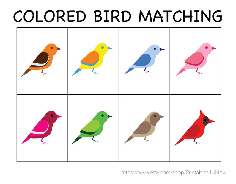 COLOR MATCHING Birds, Toddler INSTANT Download, Easy on Printer, Learn ...