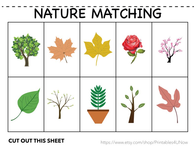 NATURE MATCHING, Toddler INSTANT Download, Easy on Printer, Learn ...