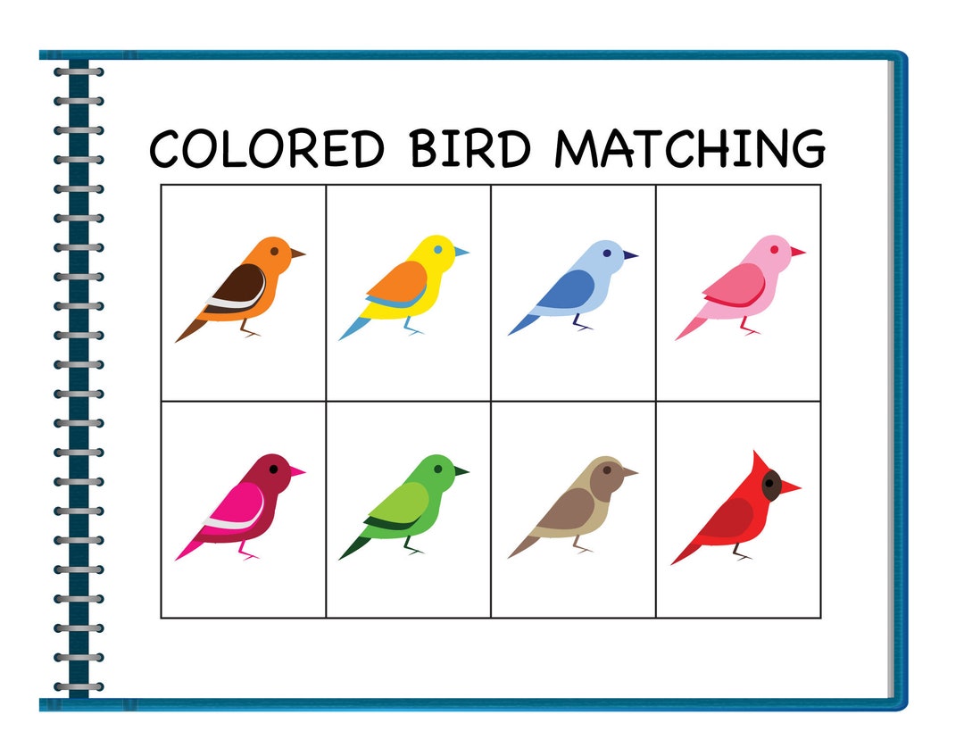 COLOR MATCHING Birds, Toddler INSTANT Download, Easy on Printer, Learn ...