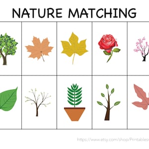 NATURE MATCHING, Toddler INSTANT Download, Easy on Printer, Learn ...