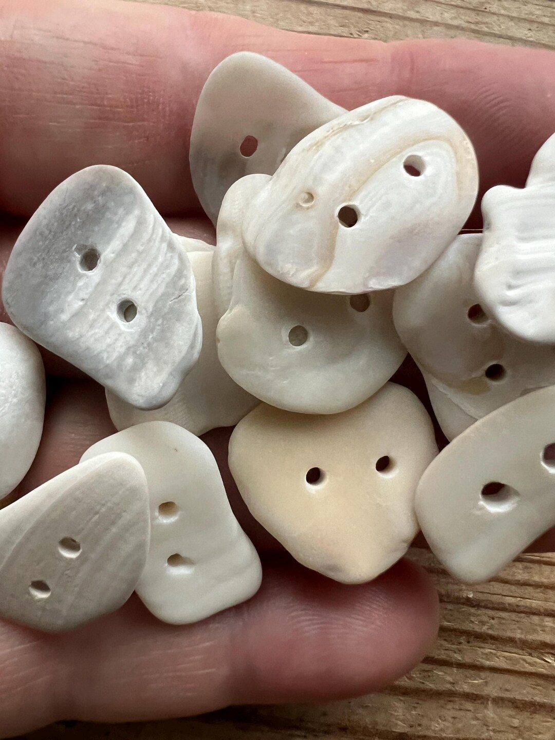 Set of 4 Sea Shell Buttons #S429 - Etsy