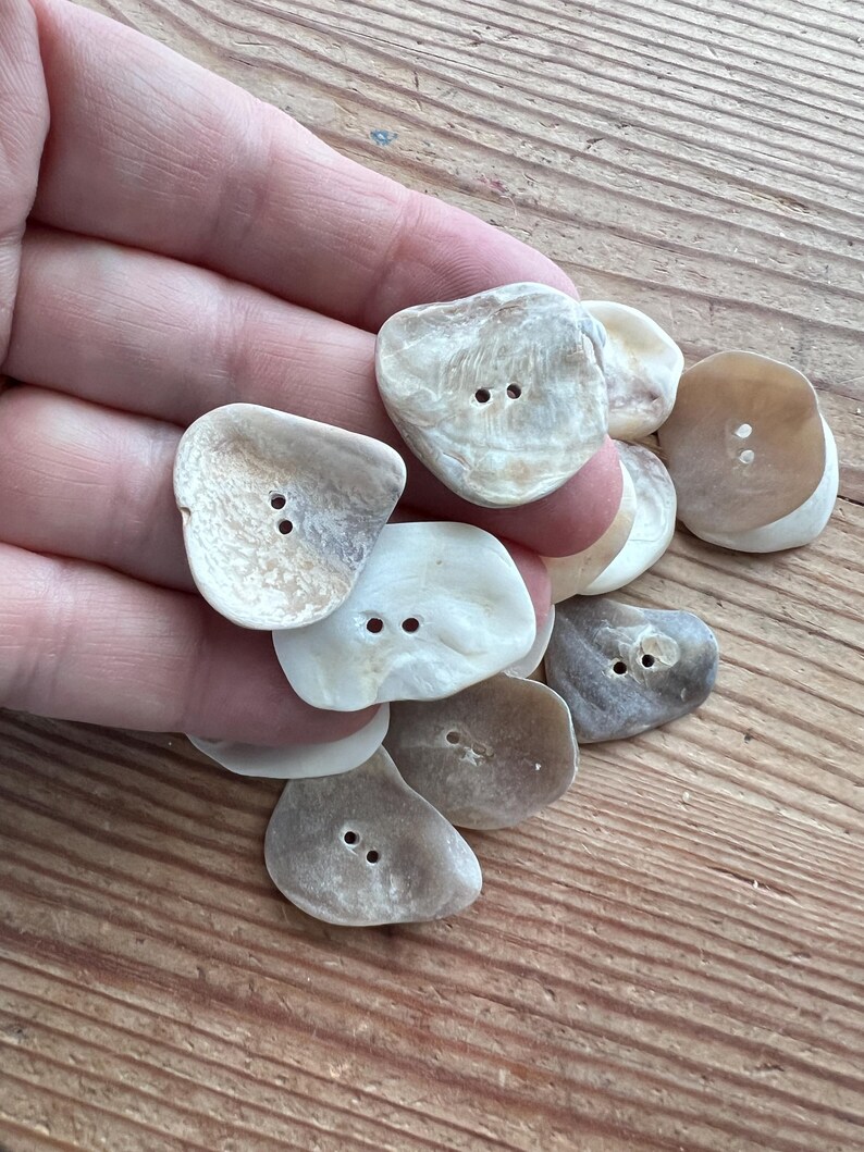 Real Shell Buttons: Sets of 8 #S484 - Etsy