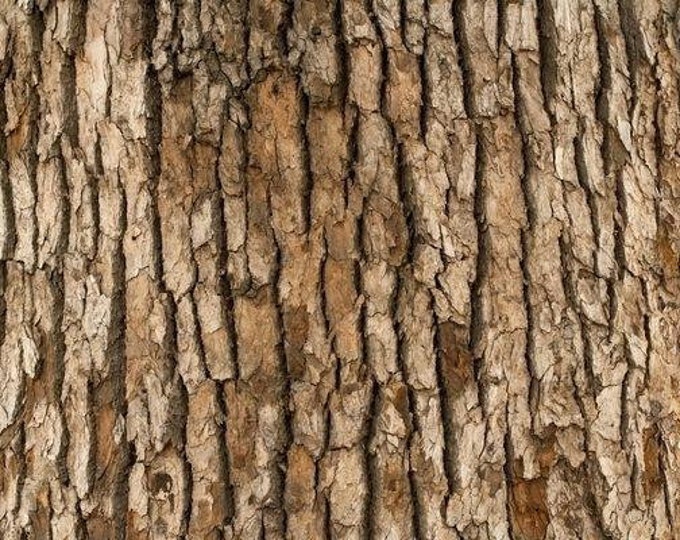 Edible Tree Bark Cake Toppers - Etsy