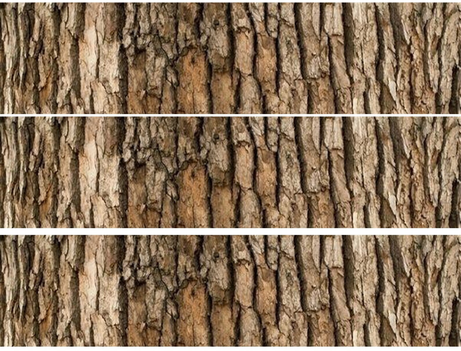 Edible Tree Bark Cake Toppers - Etsy