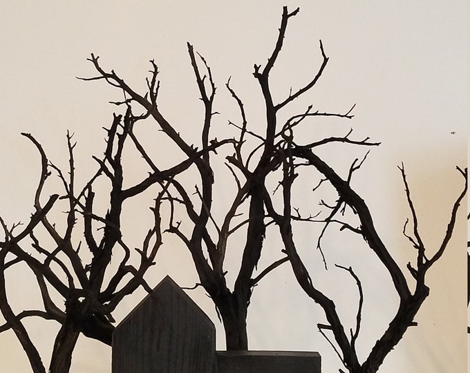 Haunted House, Haunted Forest, Gothic Forest, Halloween House, Scary ...