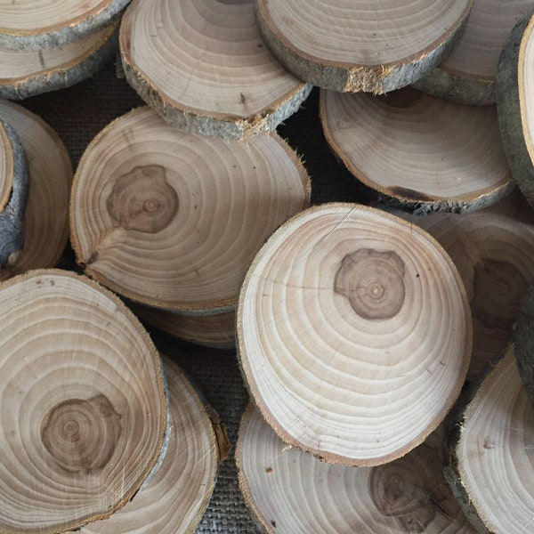 Tree Branch Slices - Etsy