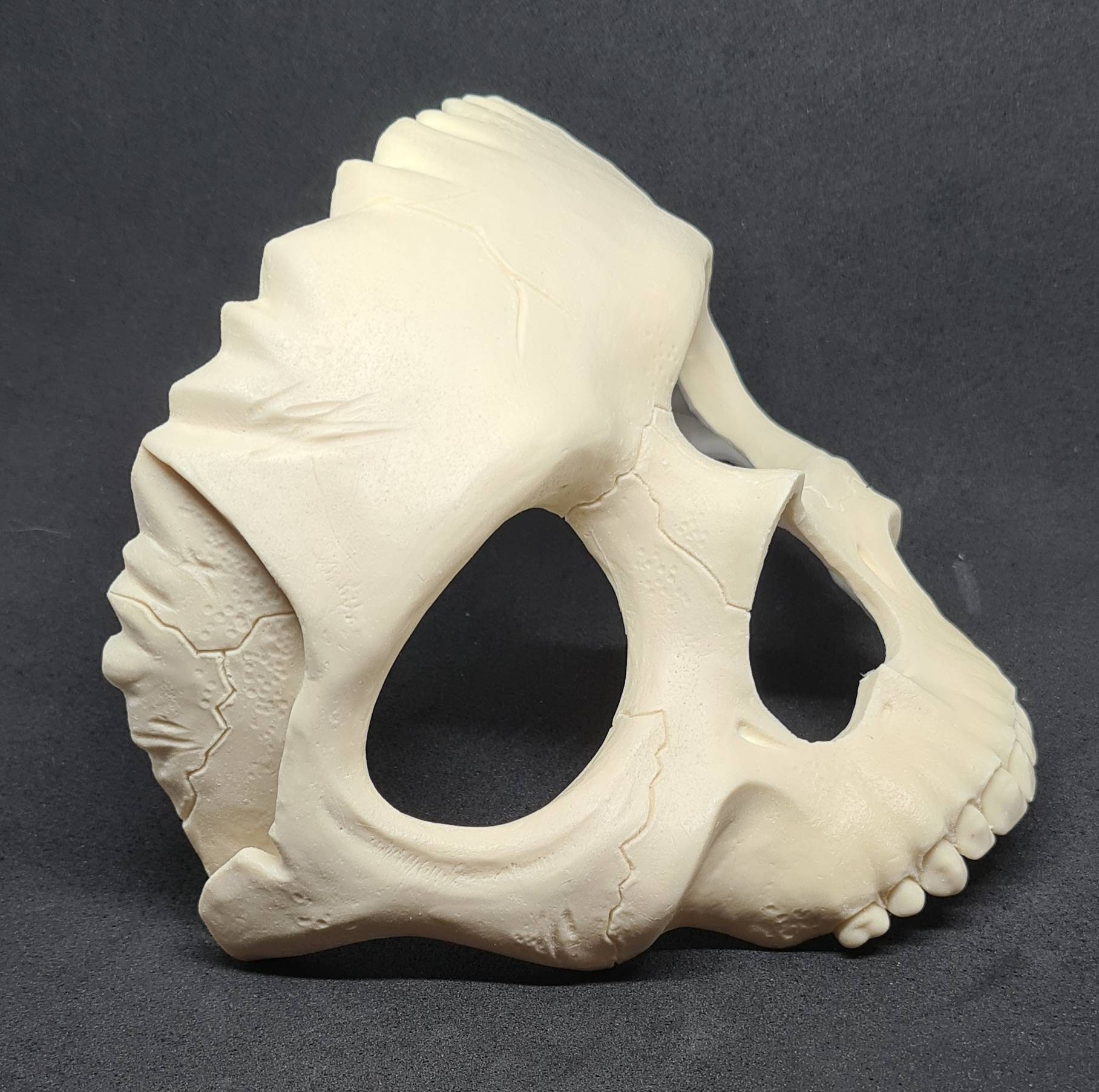Human Skull Mask - Etsy