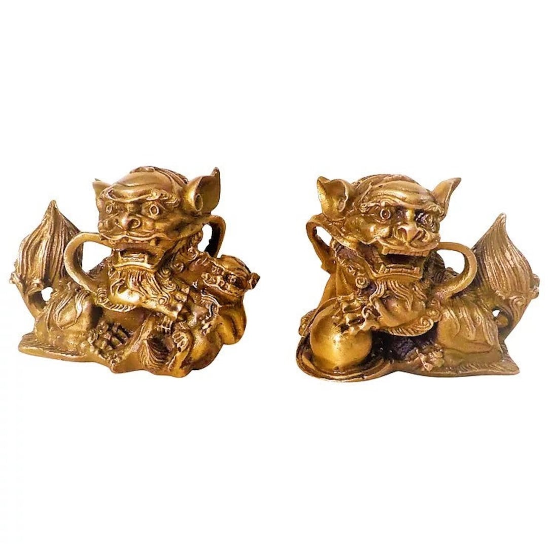 Vintage Chinese Pair of Brass Male and Female Shi Shi Foo Dogs ...