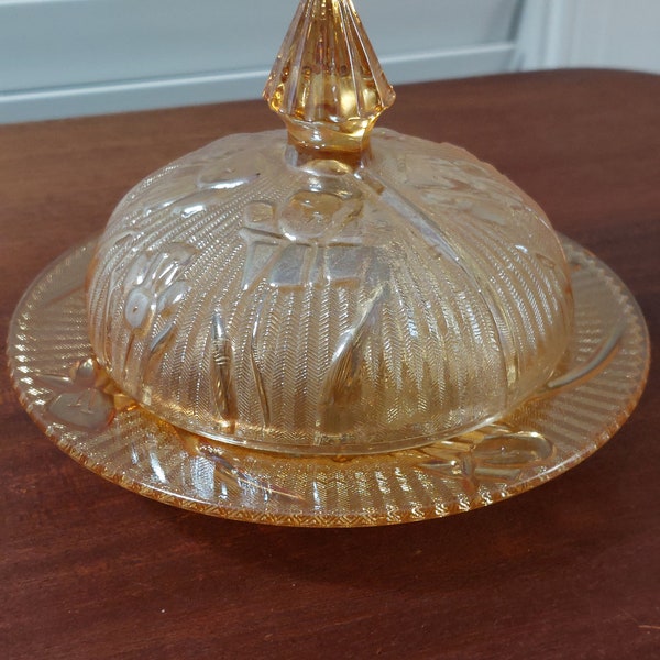 Butter Amber - Etsy