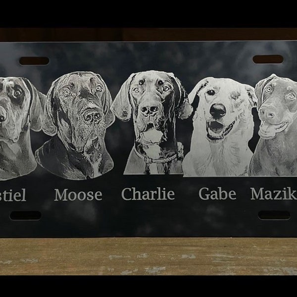 Engraved Front License Plate - Etsy