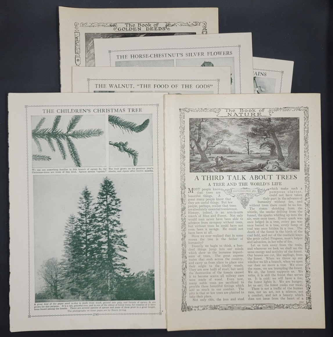 25 Antique Book Pages 1920s Book of Knowledge Vintage Junk - Etsy