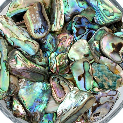 SET OF 20 Abalone Shells Raw Abalone Shell Raw Nacre Pearl - Etsy
