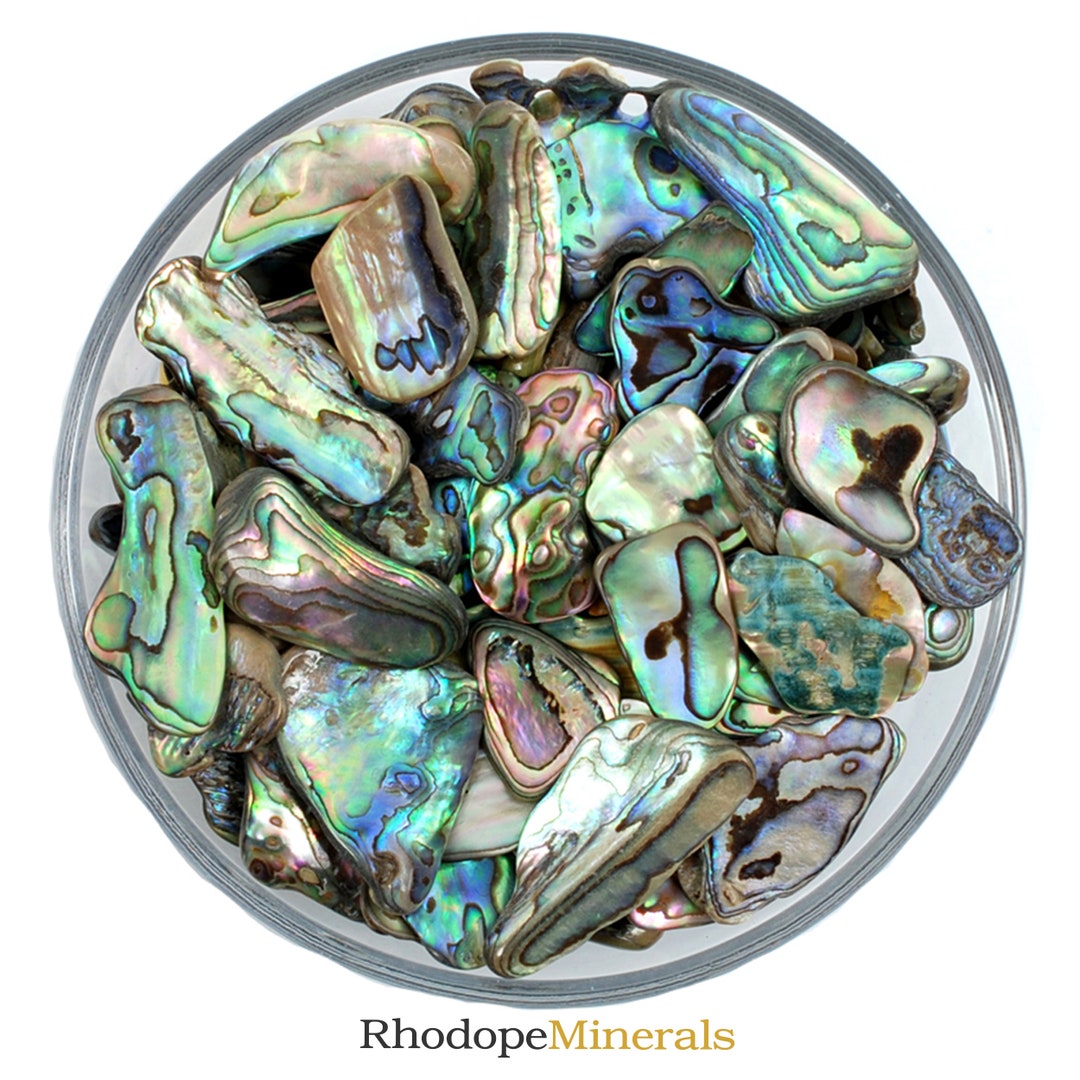 SET OF 3 Abalone Shells, Abalone Shells, Мother of Pearl, Wedding ...