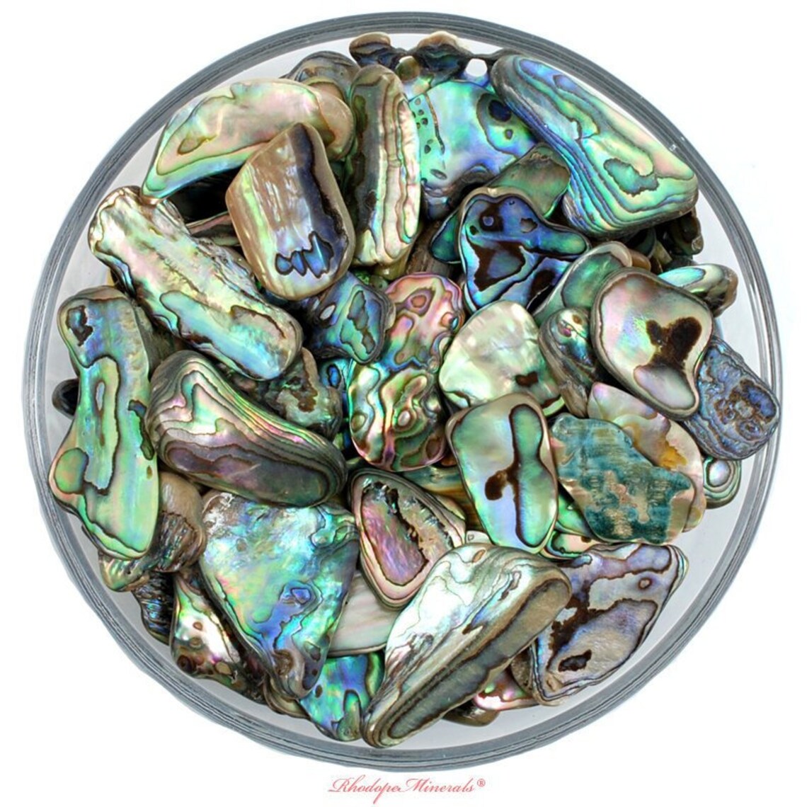 SET OF 5 Abalone Shells Raw Abalone Shell Raw Nacre pearl | Etsy