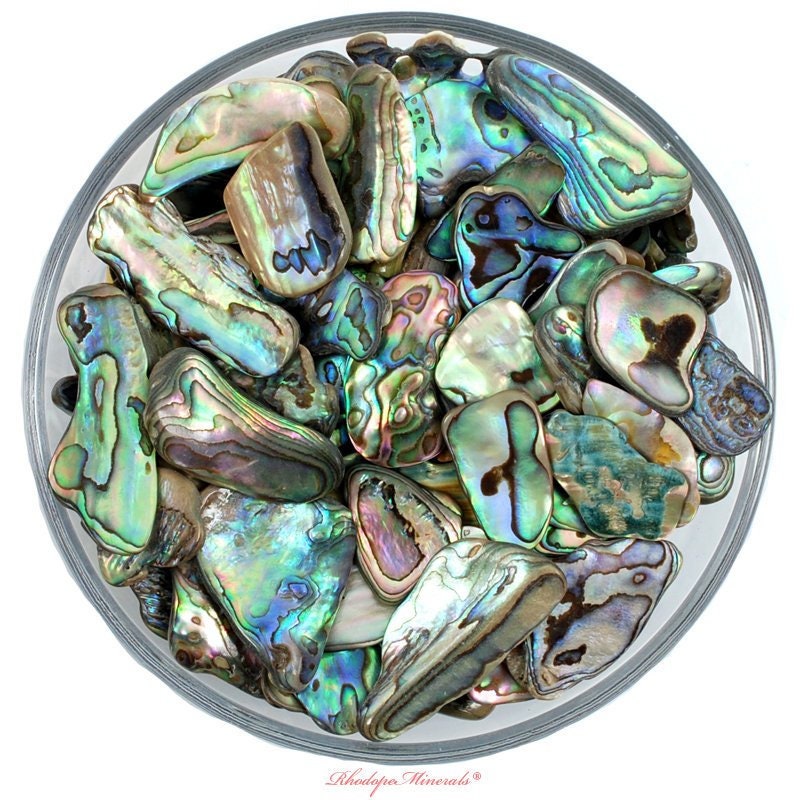 SET OF 5 Abalone Shells Raw Abalone Shell Raw Nacre Pearl - Etsy