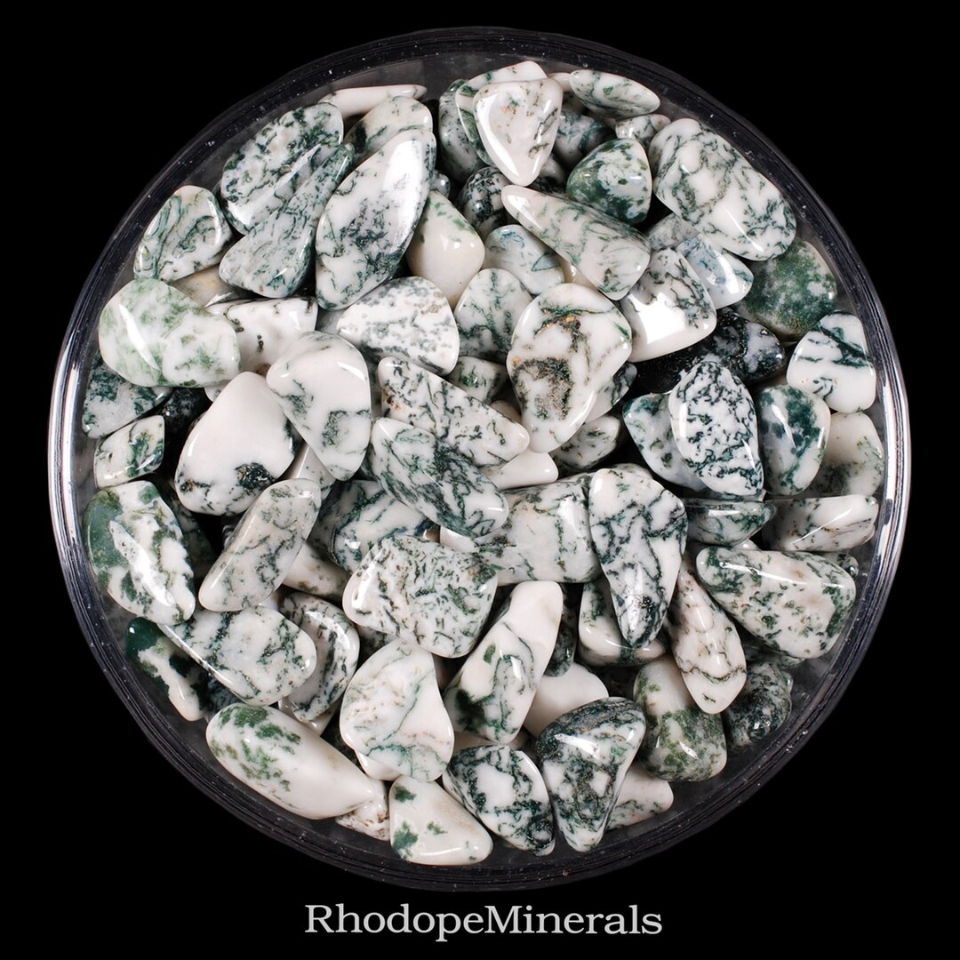 Set of 10 Dendritic Agate Tumbled Stones, Dendritic Agate, Tumbled ...