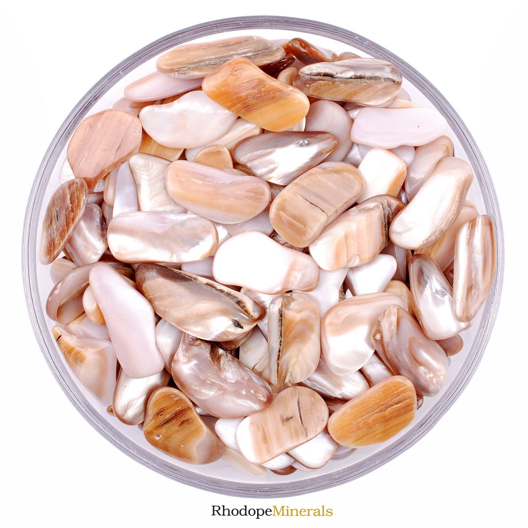 Pink Abalone Shell Shells Raw Abalone Shell Raw Nacre - Etsy