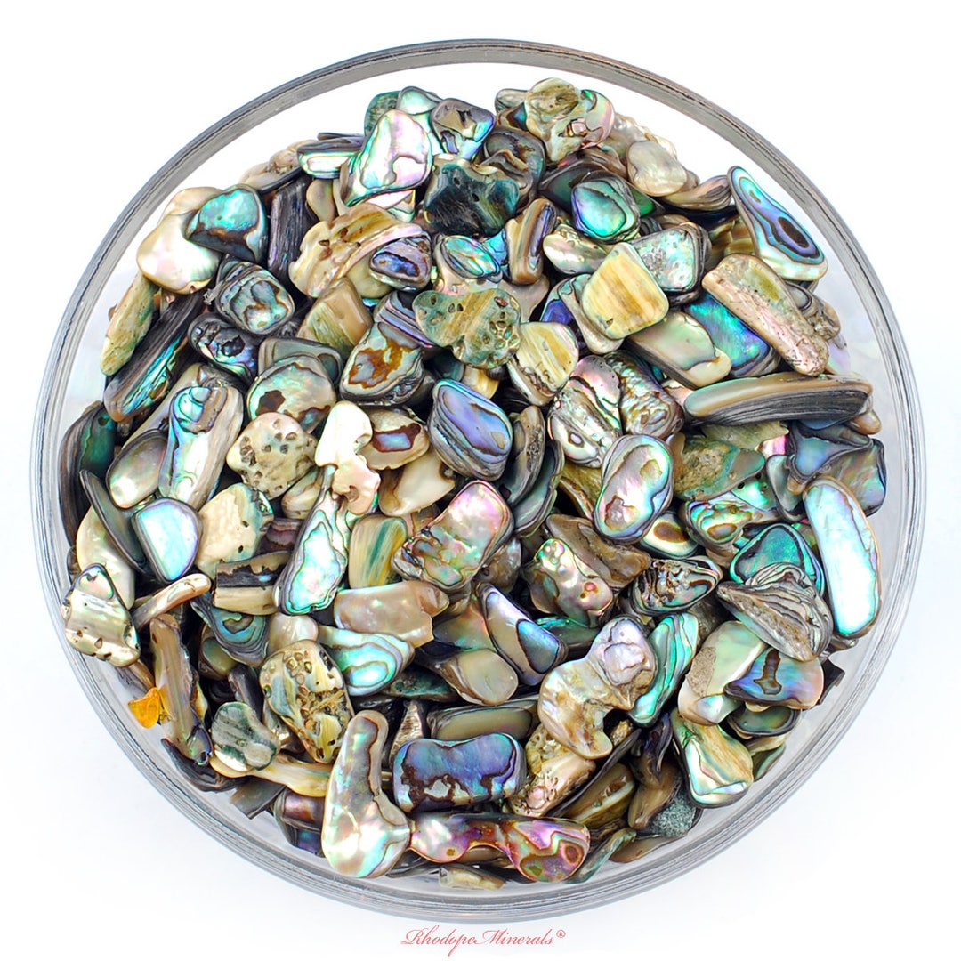 SET OF 50 Abalone Shells Raw Abalone Shell Raw Nacre Pearl - Etsy