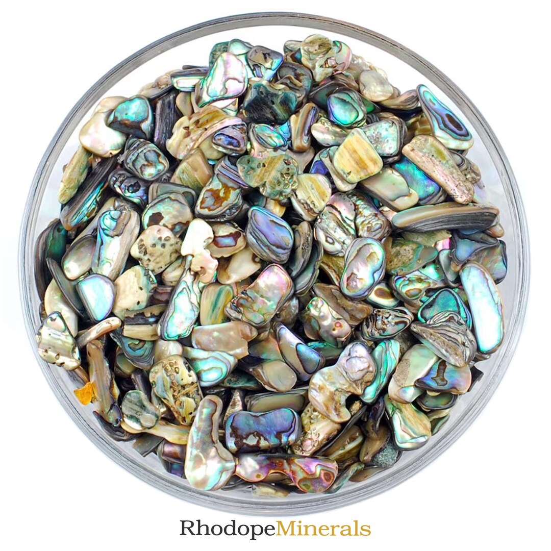 SET OF 200 Abalone Shells, Raw Abalone Shell, Raw Nacre Pearl, Мother ...