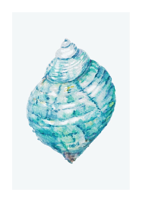 Periwinkle Seashell Snail Coastal Dorset Watercolour Seaside | Etsy UK