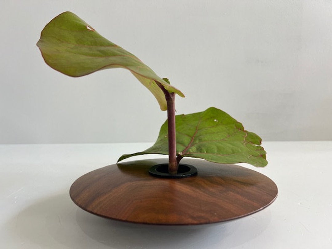 Black Walnut Ikebana Container by Rand Walsh Mid Century Modern - Etsy