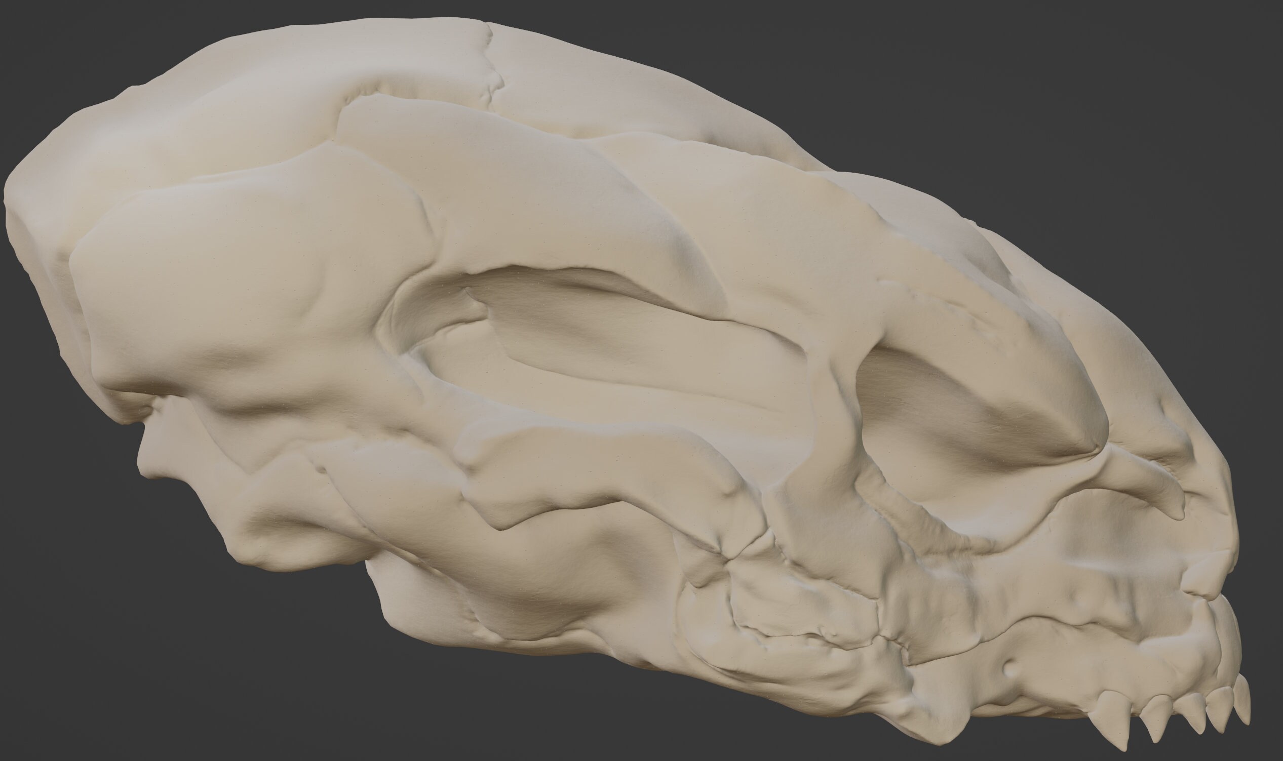 Halo Elite Head Model